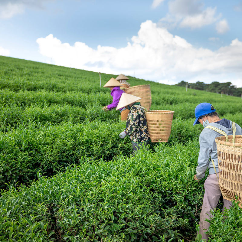 超好喝古早味手搖飲 | 龜記茗品 Guiji